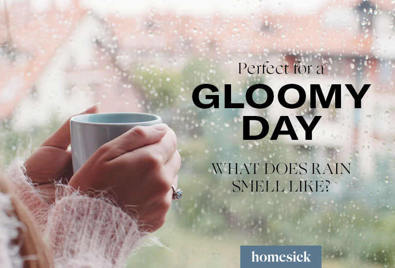 What Does Rain Smell Like? Petrichor and More